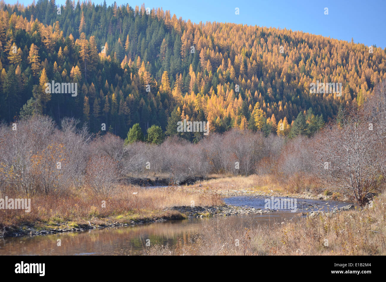 This image shows the scenic landscape west of Lolo, Montana. The region ...
