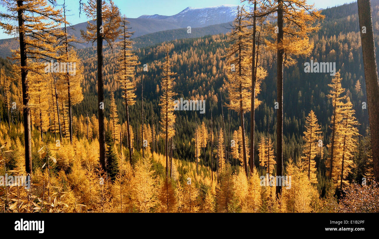 Road4 hi-res stock photography and images - Alamy