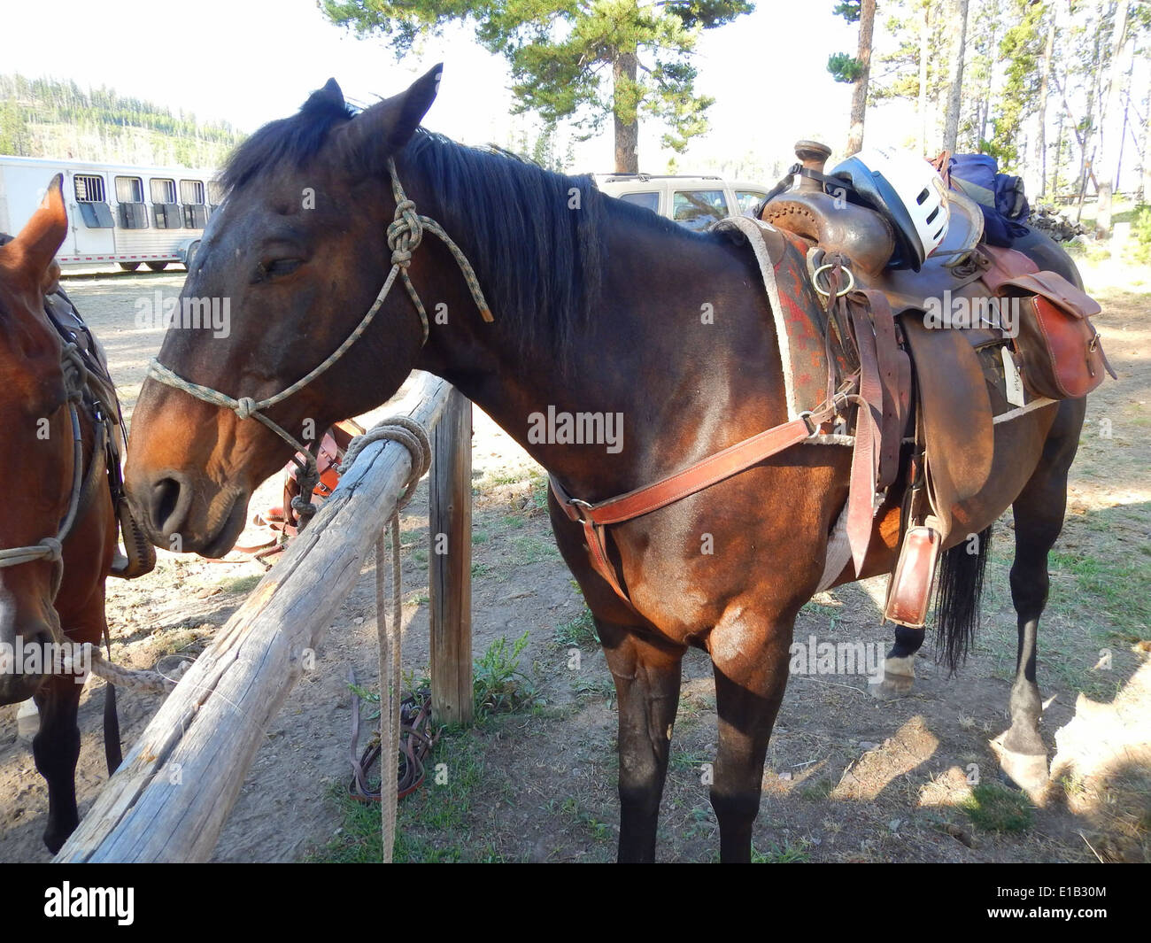 Department_of_agriculture hi-res stock photography and images - Alamy
