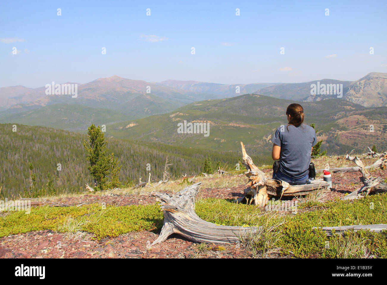 Untrammeled hi-res stock photography and images - Alamy