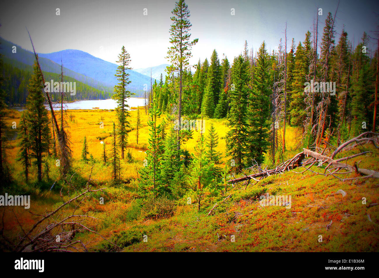 Youth Wilderness Trip for the film Untrammeled Stock Photo - Alamy