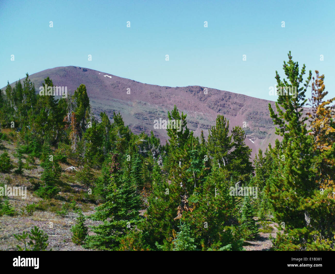 Department_of_agriculture hi-res stock photography and images - Alamy