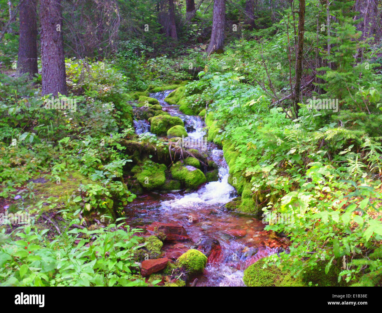 Untrammeled High Resolution Stock Photography and Images - Alamy