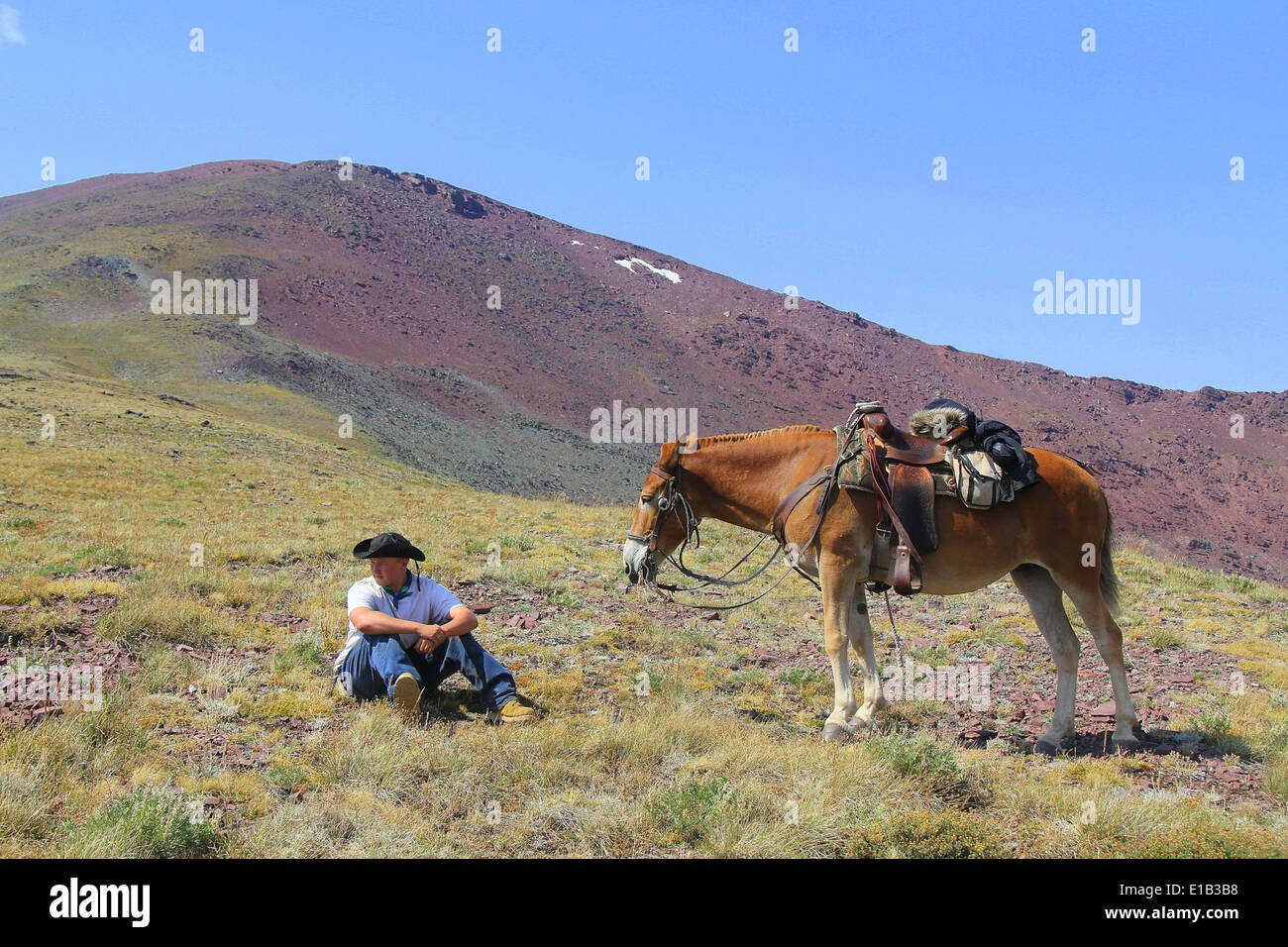 Department_of_agriculture hi-res stock photography and images - Alamy