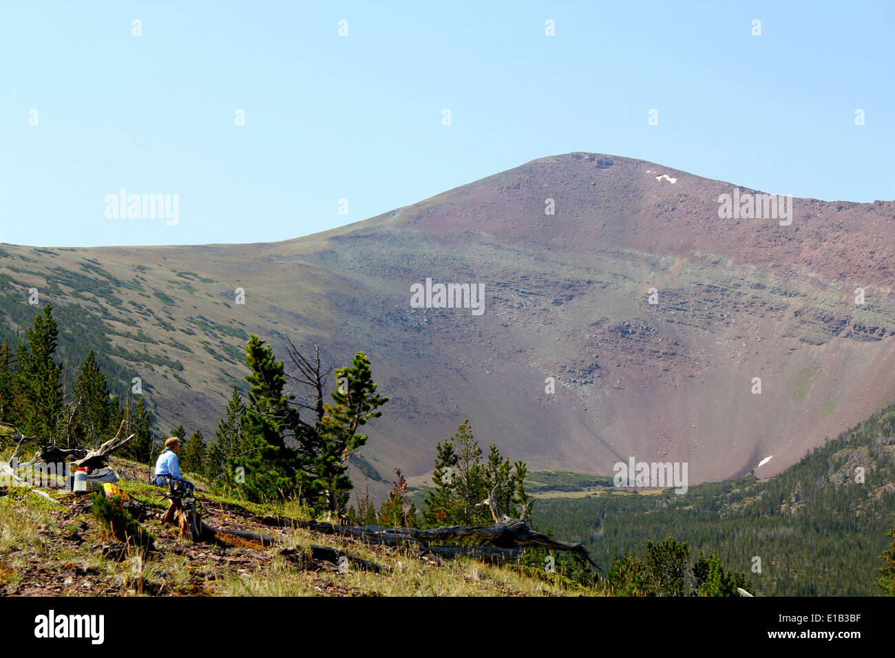 Untrammeled High Resolution Stock Photography and Images - Alamy