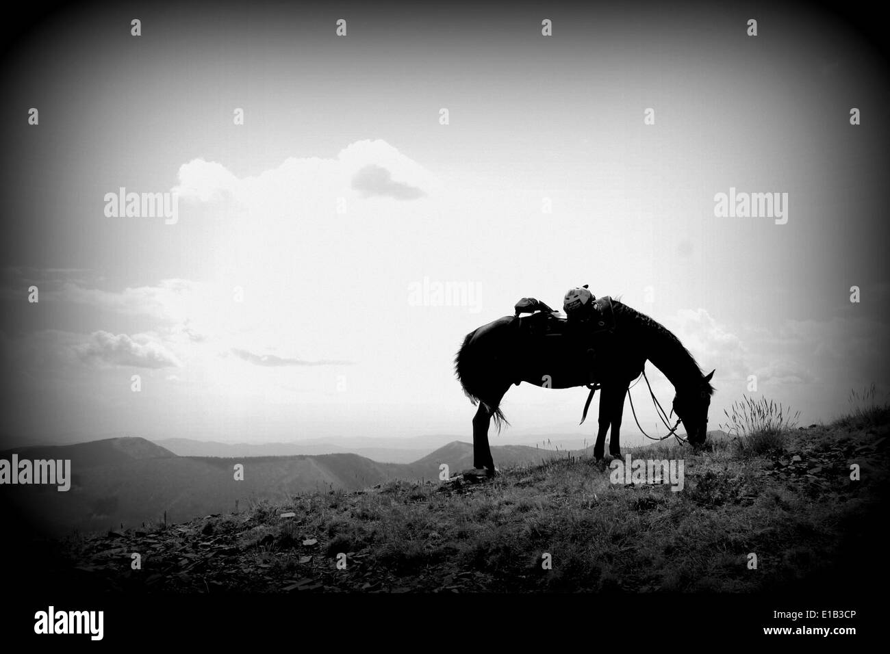 Untrammeled Black and White Stock Photos & Images - Alamy