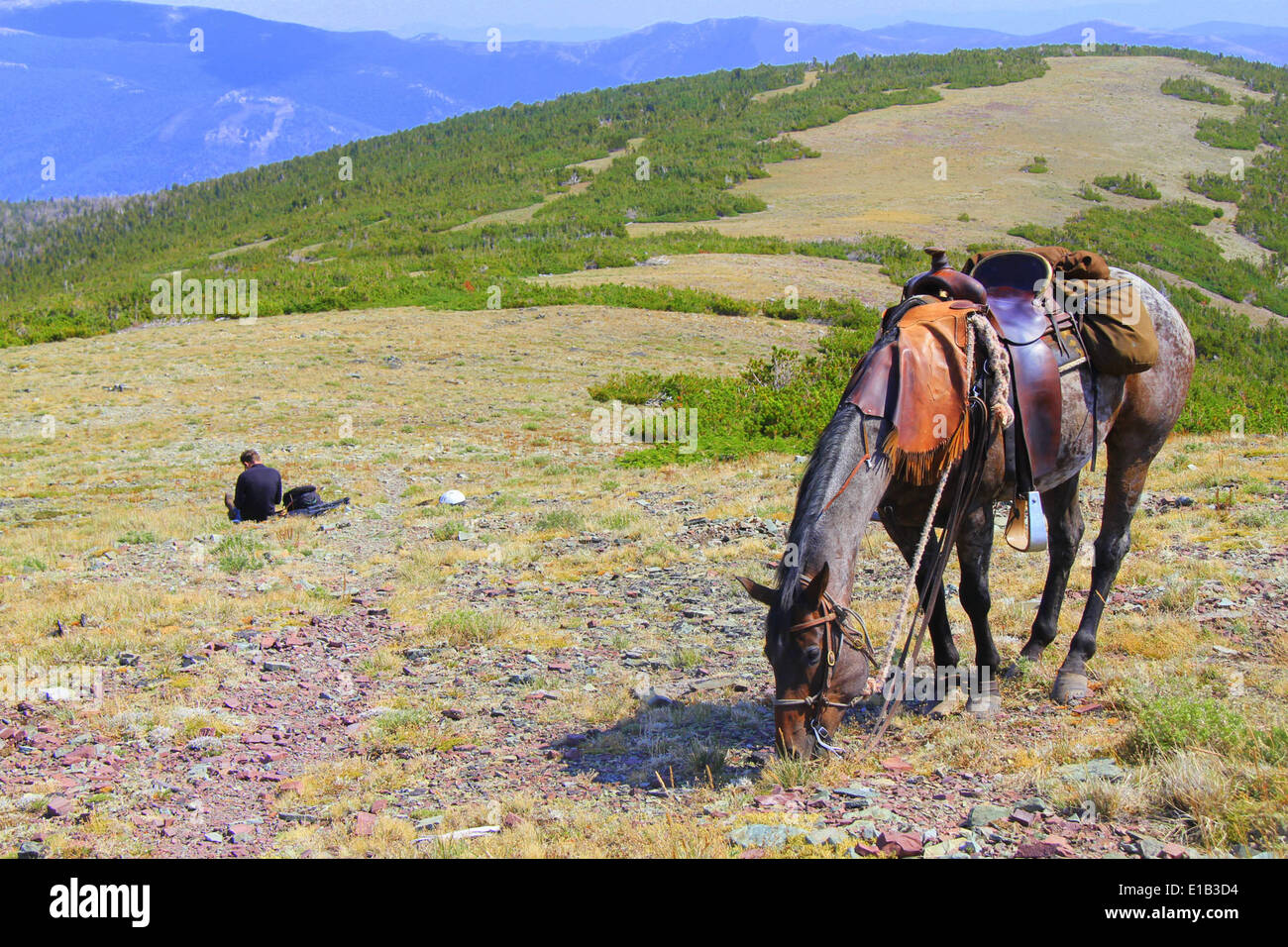 Department_of_agriculture hi-res stock photography and images - Alamy