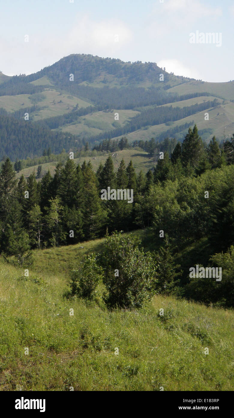 Highwoods hi-res stock photography and images - Alamy