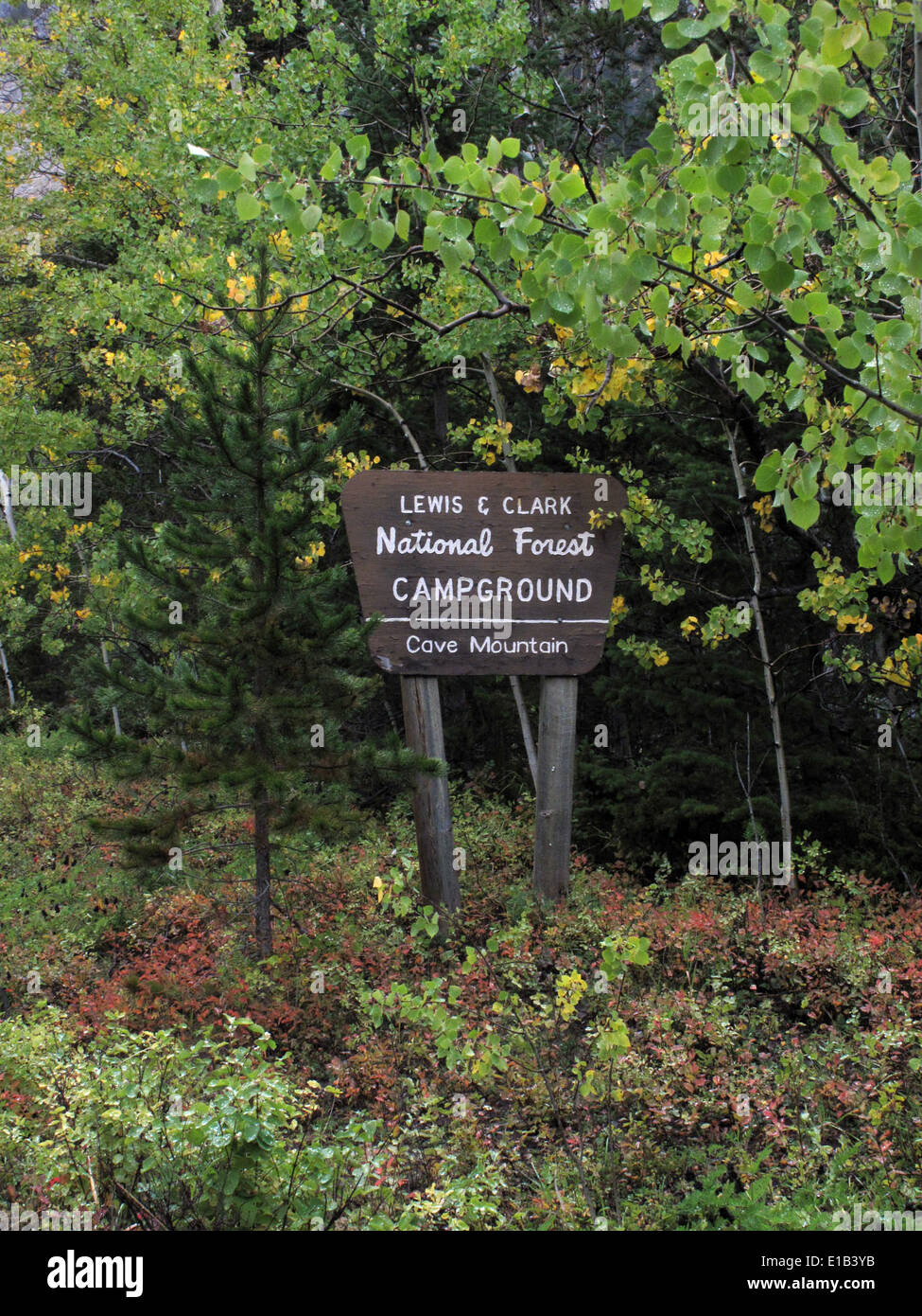National forest service signs hi-res stock photography and images - Alamy