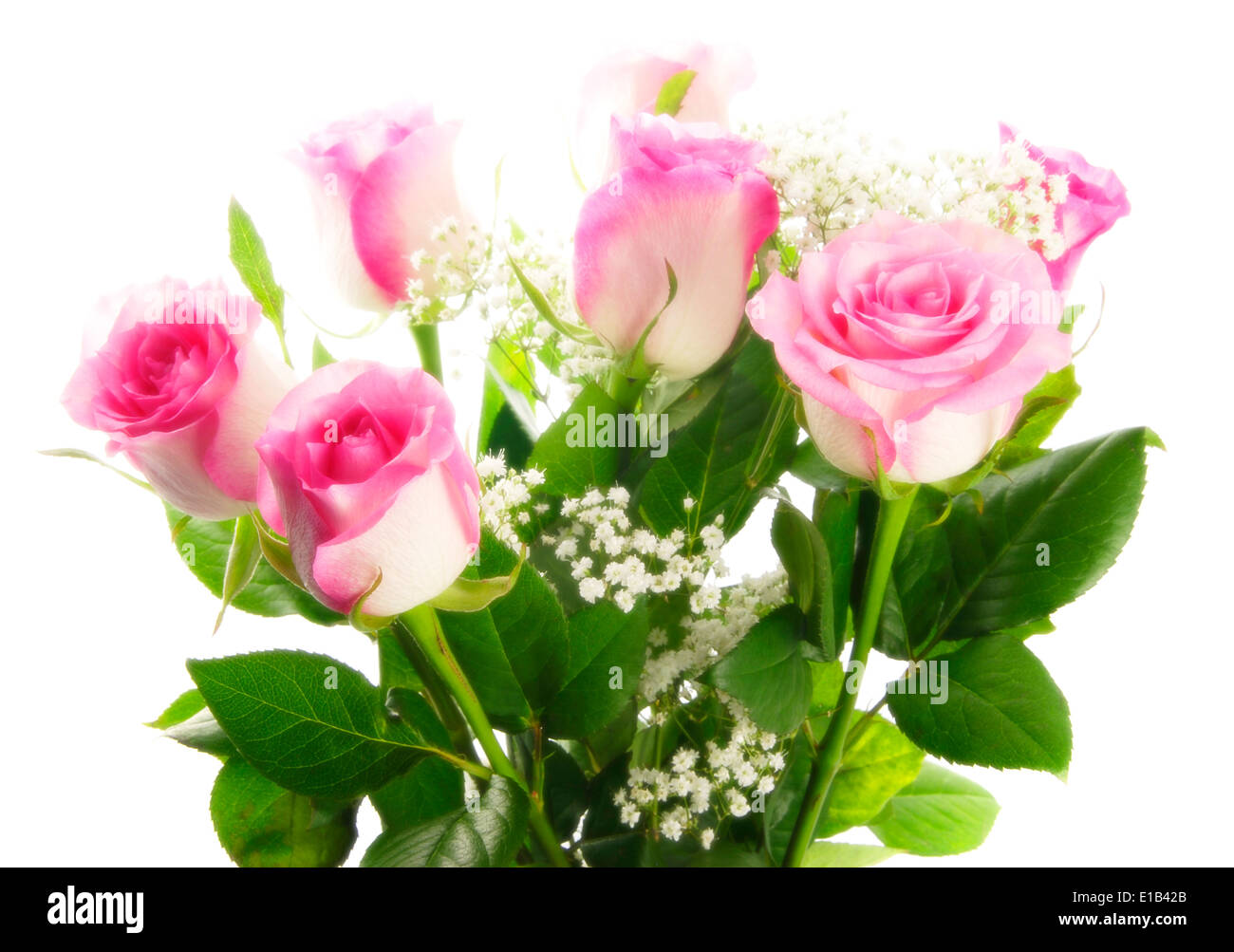 Beautiful soft pink roses bouquet isolated on white Stock Photo - Alamy