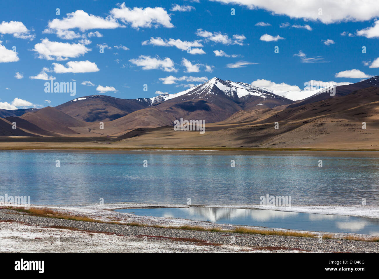 Chang tang tibet hi-res stock photography and images - Alamy