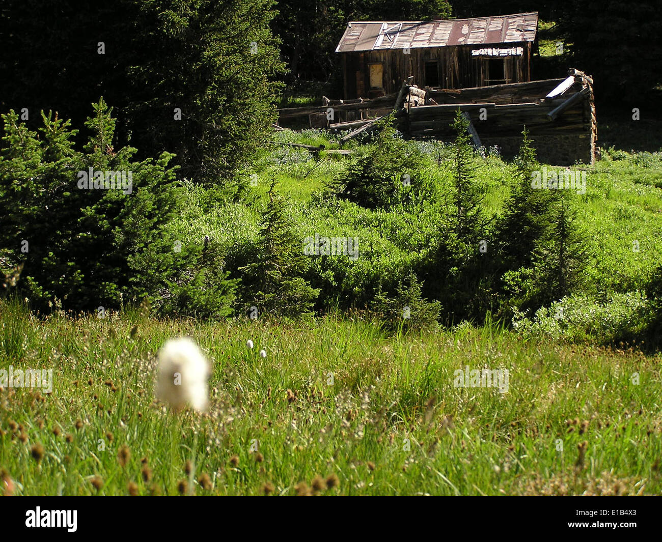 The New World Mine Site, located within Gallatin National Forest, is a ...