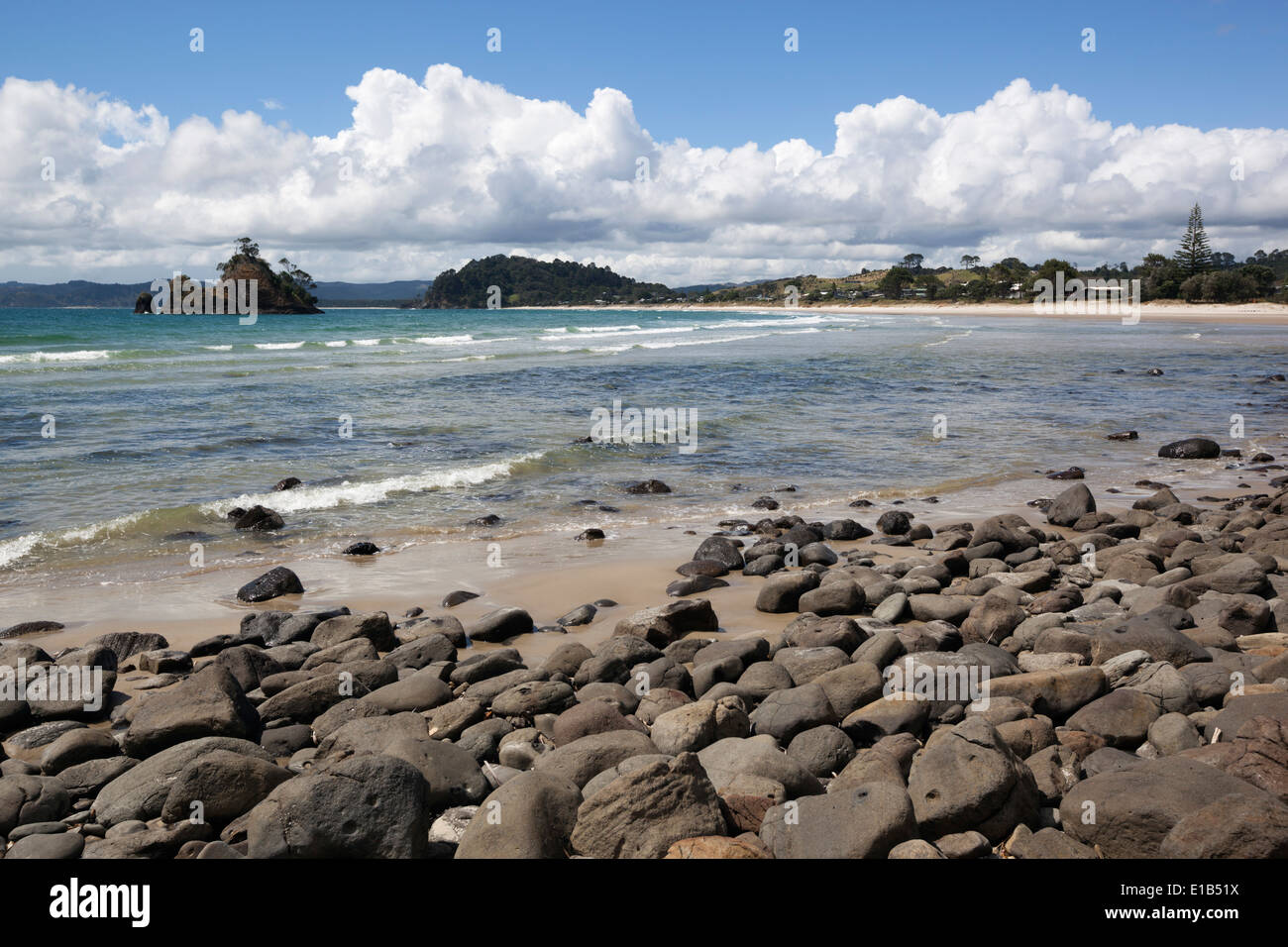 Pungapunga island hi-res stock photography and images - Alamy