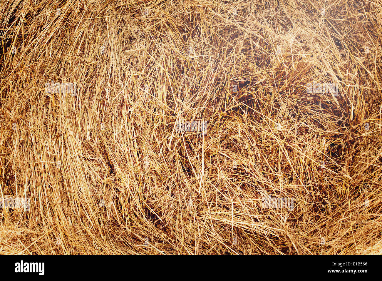 Haystack after harvest. Structure, background. Golden colors, rural ...