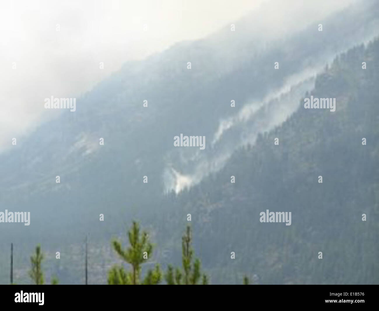 The Rockin Fire in Bitterroot National Forest in Montana was a ...
