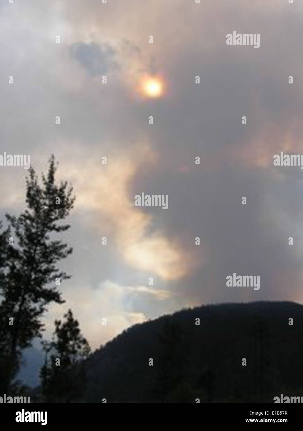 The Rockin Fire in Bitterroot National Forest, Montana, resulted in ...