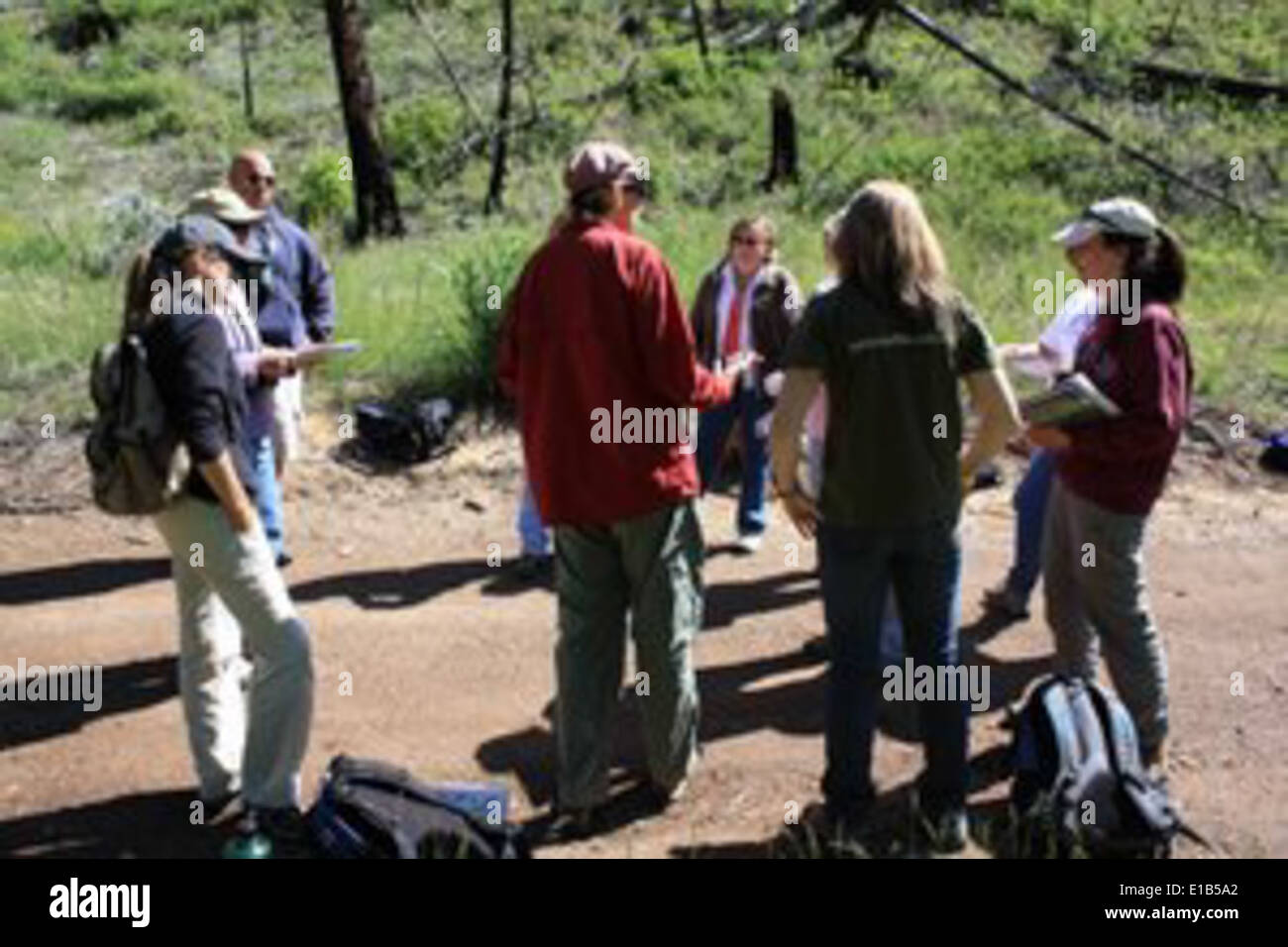 The Forest For Every Classroom program in Helena National Forest engages teachers to enhance ...