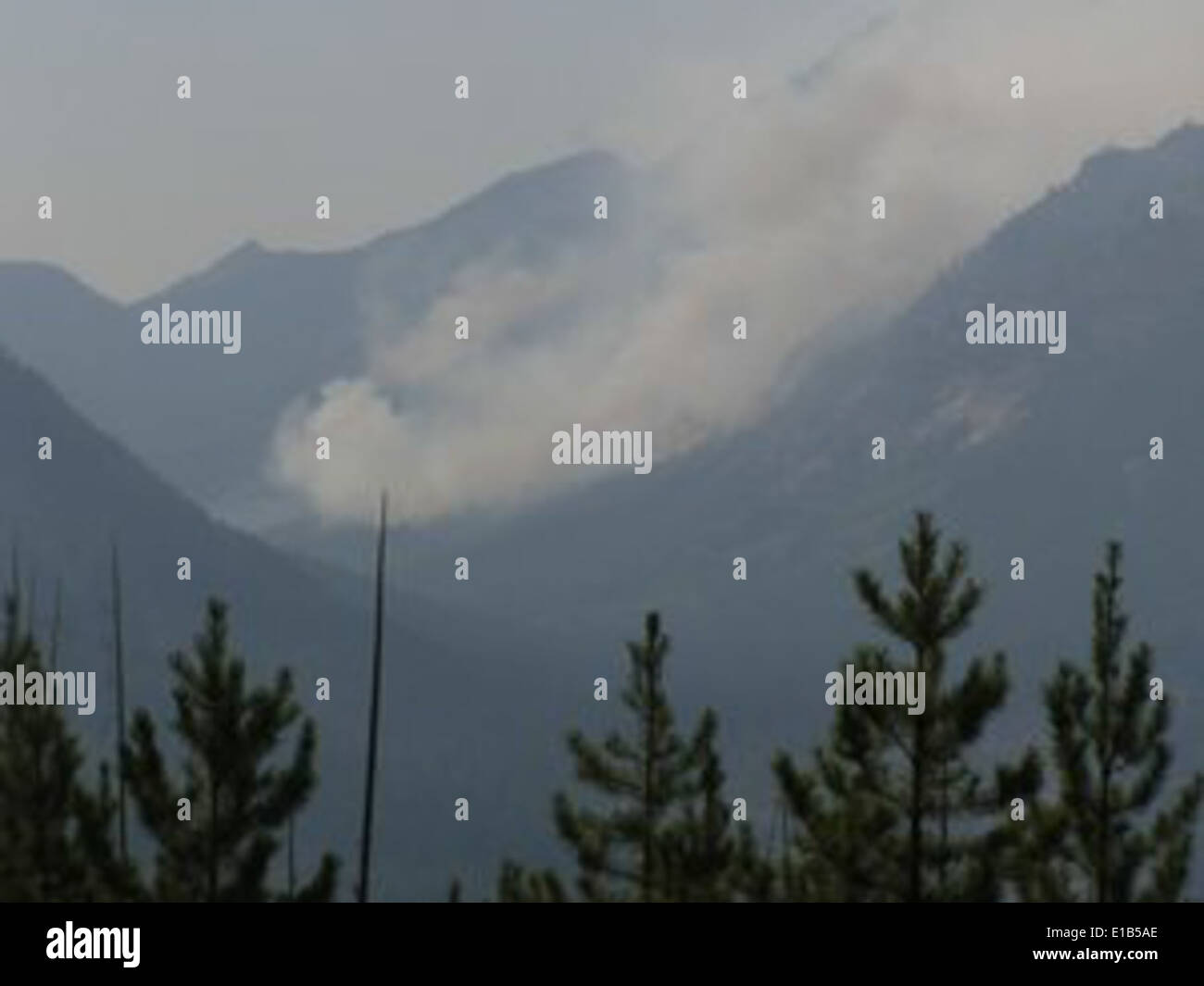 The Rockin Fire in Montana's Bitterroot National Forest led to ...