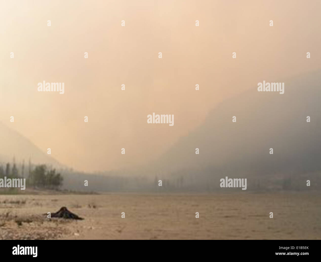 A wildfire in the Bitterroot National Forest, Montana, causes ...