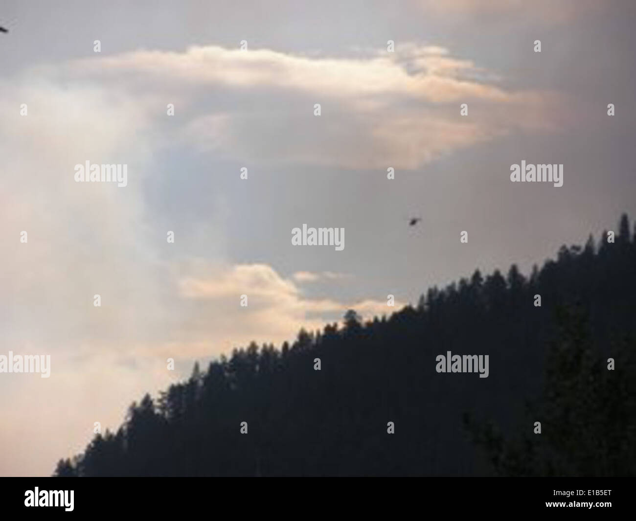 The Bitterroot National Forest in Montana was affected by wildfire, as ...