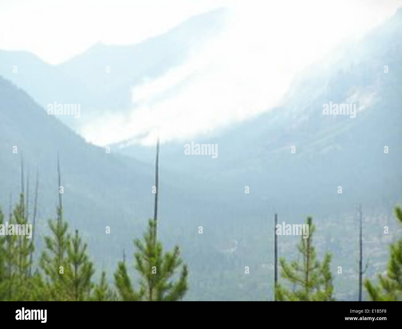 A wildfire in the Bitterroot National Forest in Montana, with thick ...