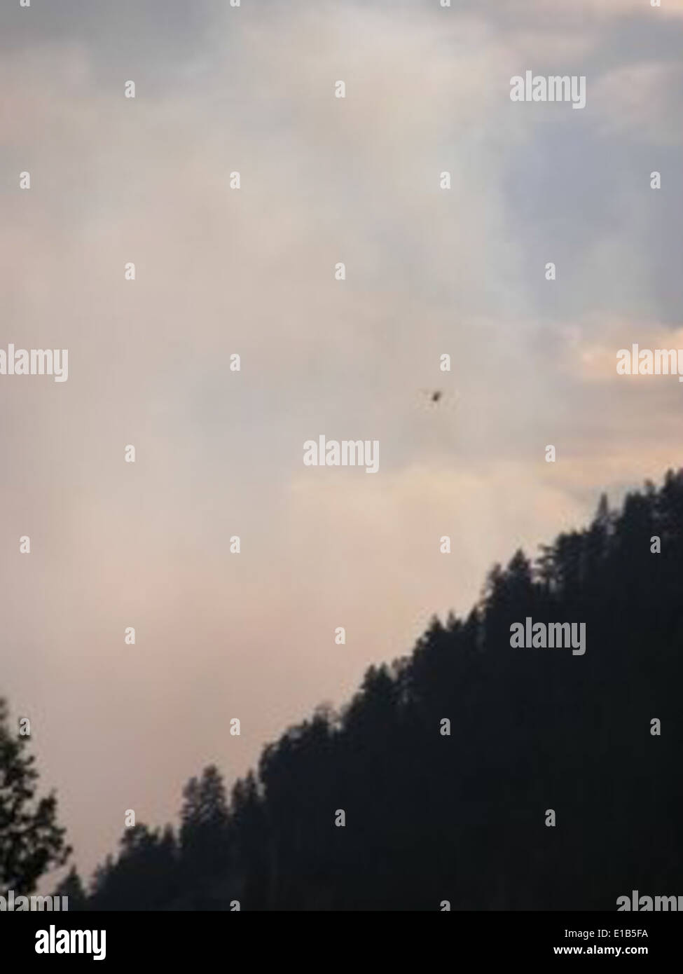 The Rockin Fire in Bitterroot National Forest, Montana, has been a ...