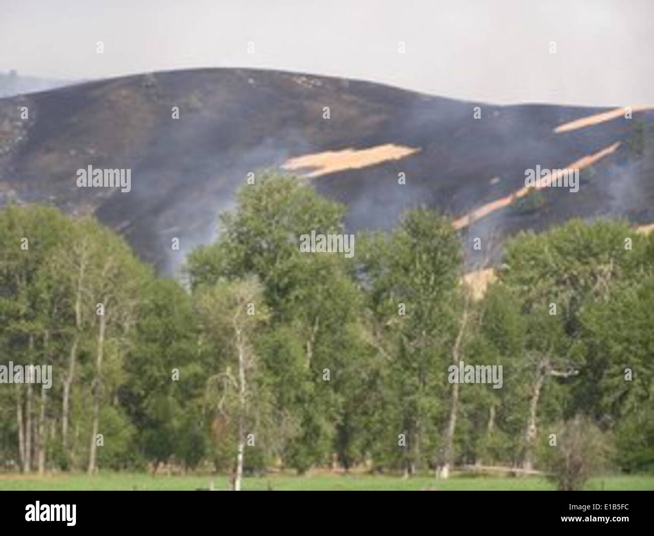 CB Ranch Fire - Near Hamilton, Montana Stock Photo - Alamy