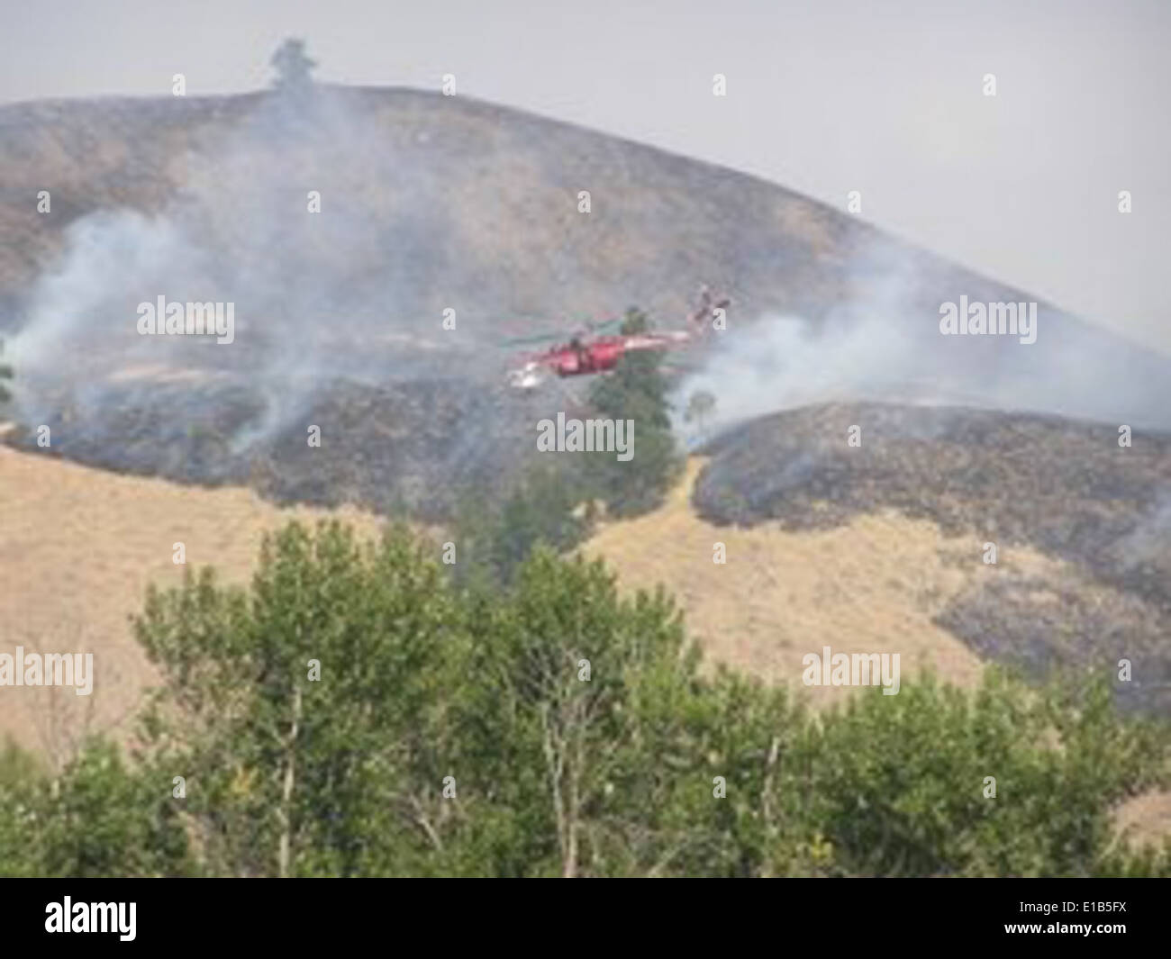 The CB Ranch Fire, near Hamilton, Montana, highlights the destructive ...