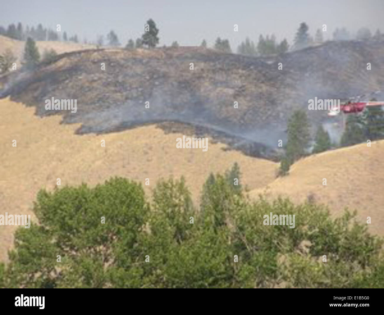The CB Ranch Fire near Hamilton, Montana, is a wildfire that affected ...