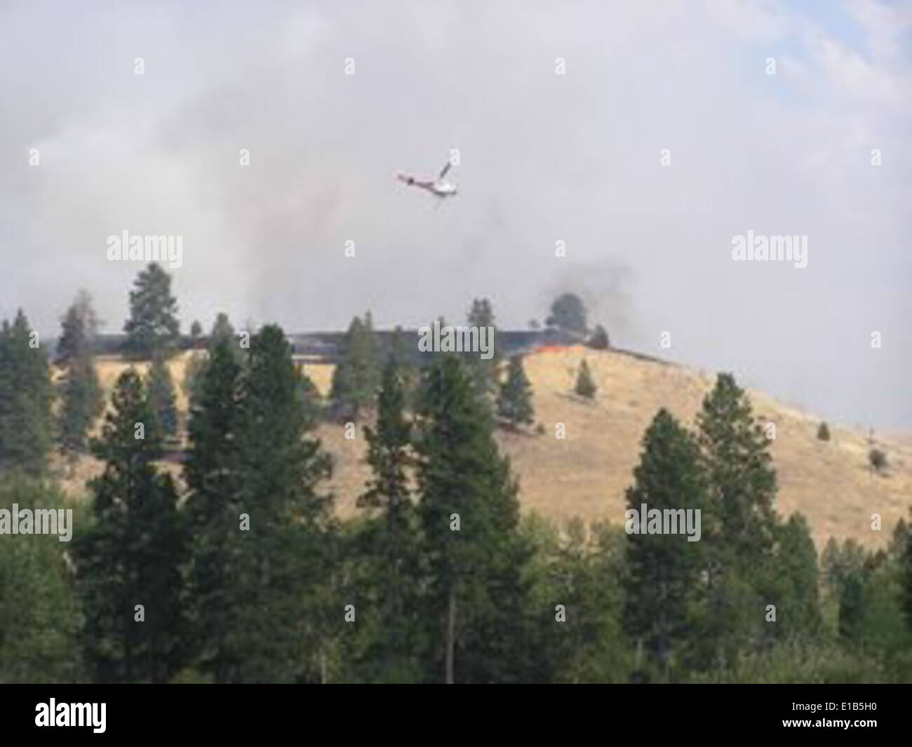 The CB Ranch Fire near Hamilton, Montana, impacted local forests and ...