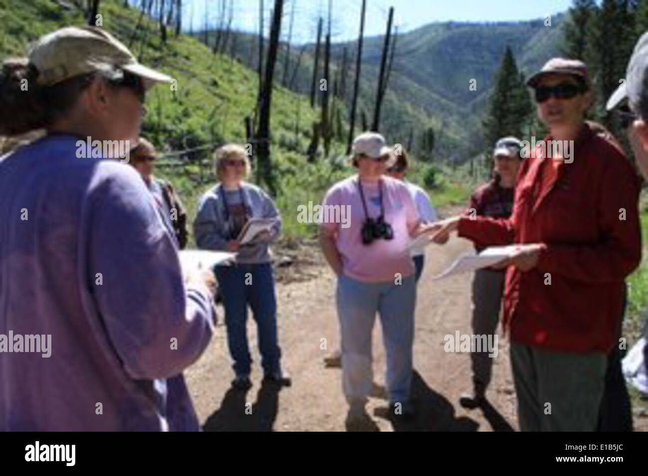 Forest for Every Classroom is an educational initiative based in Helena National Forest, aimed ...