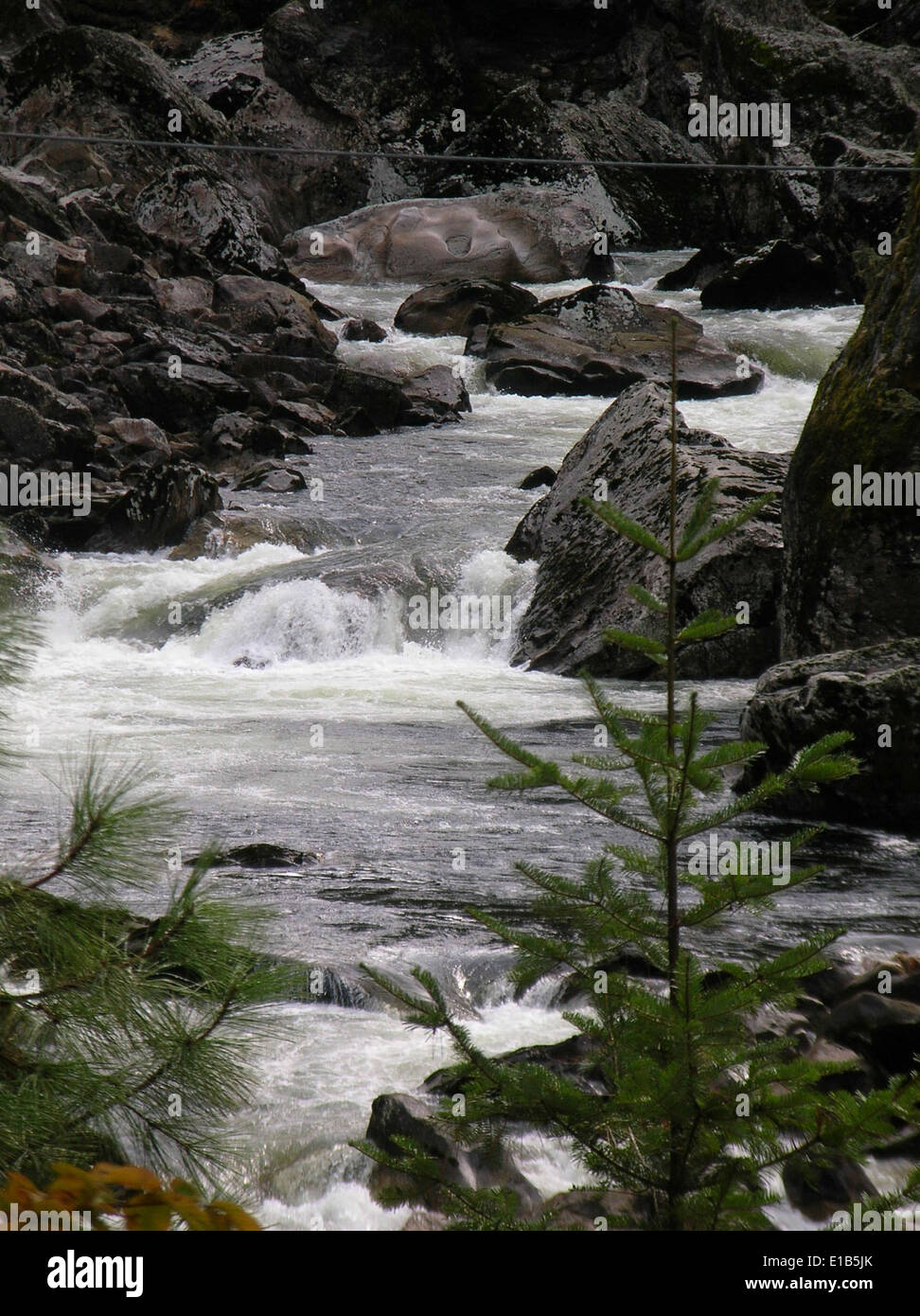 Selway idaho hi-res stock photography and images - Alamy