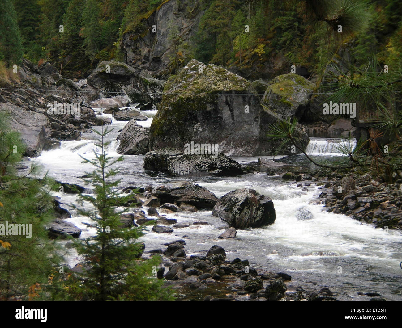 Selway hi-res stock photography and images - Alamy