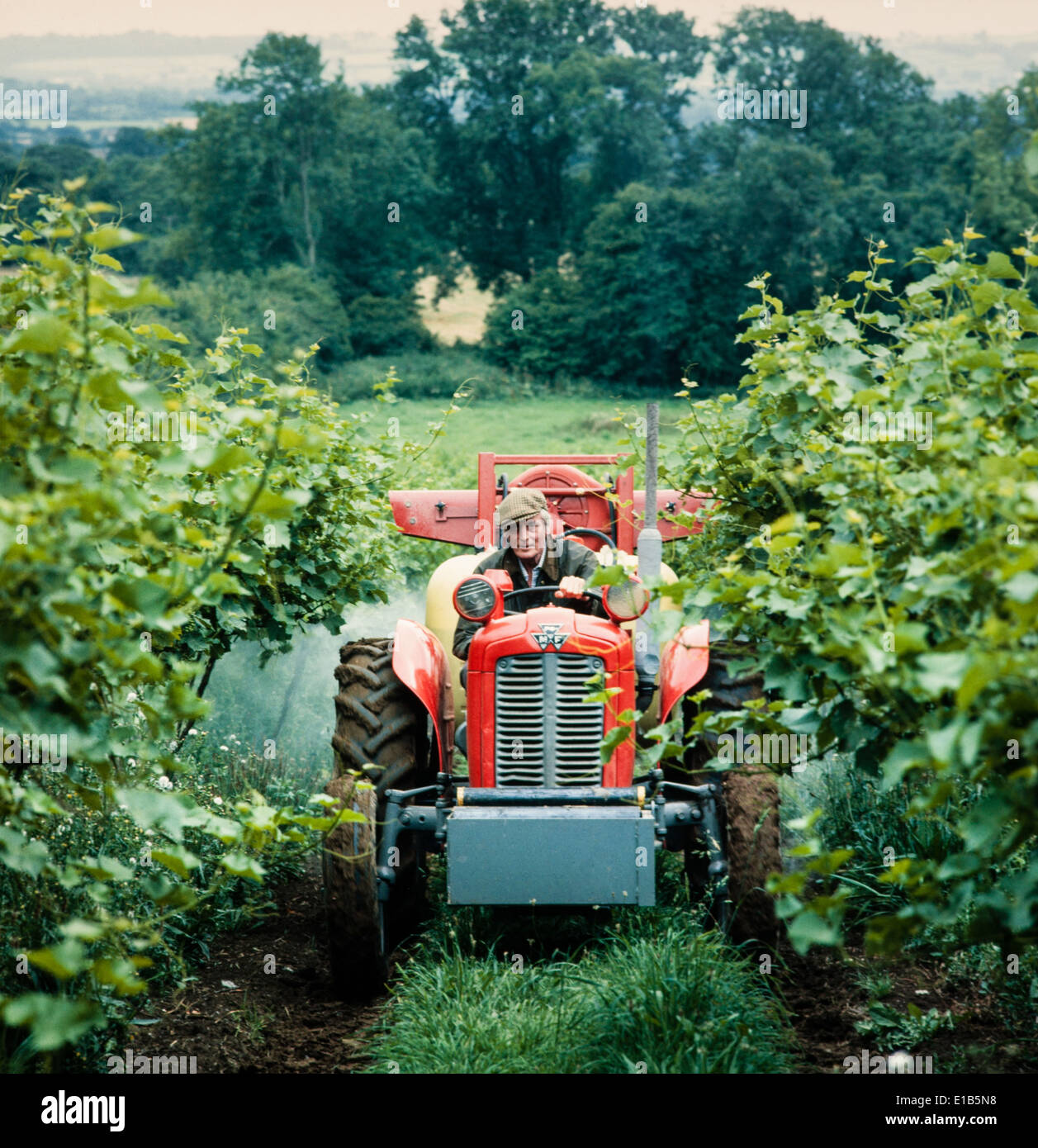 Vineyard crop spraying tractor hi-res stock photography and images - Alamy