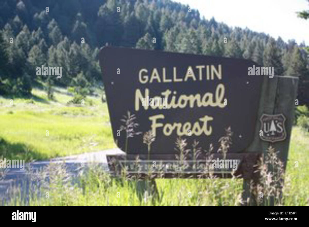 National forest service signs hi-res stock photography and images - Alamy