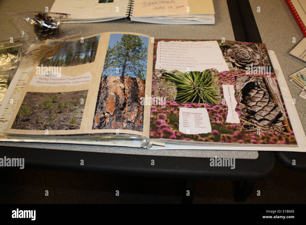 The FFEC Open House event on January 21st provides a platform for ...