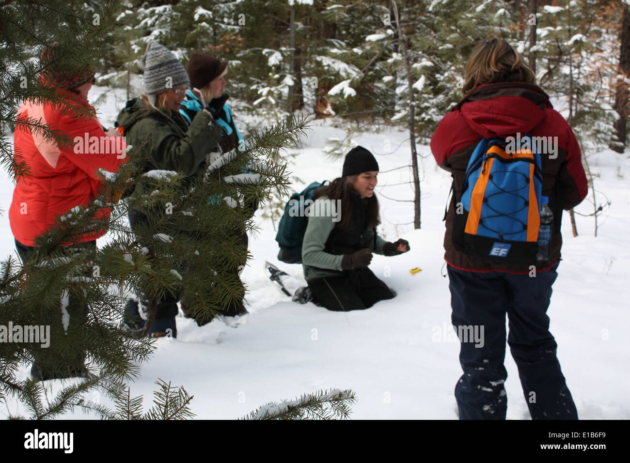 Forest for Every Classroom is an educational program that connects students to forests through ...