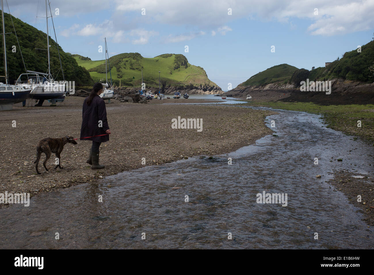 seaside coastal view Watermouth Bay North Devon Stock Photo - Alamy