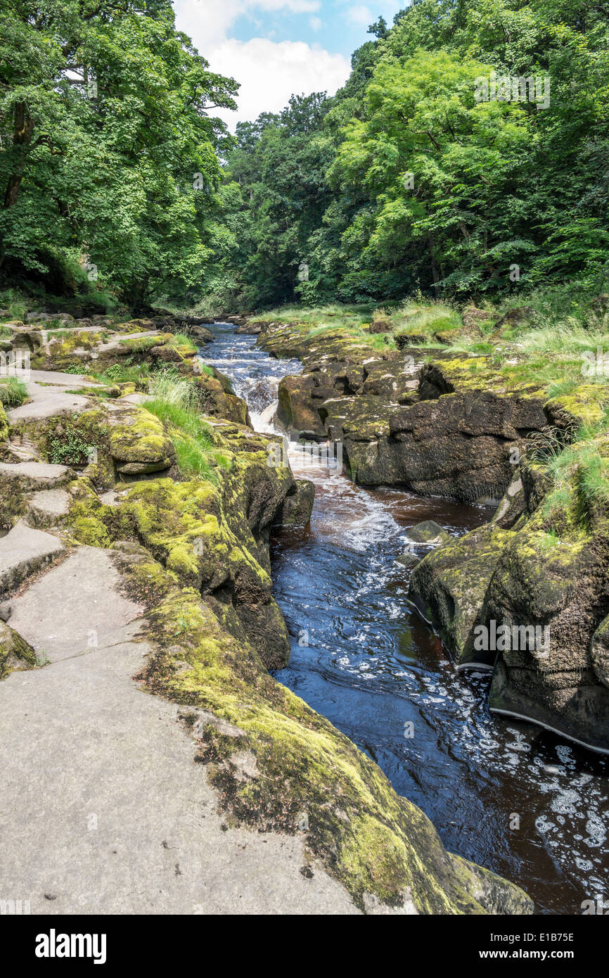The river strid running through Bolton Abbey, North Yorkshire Stock ...