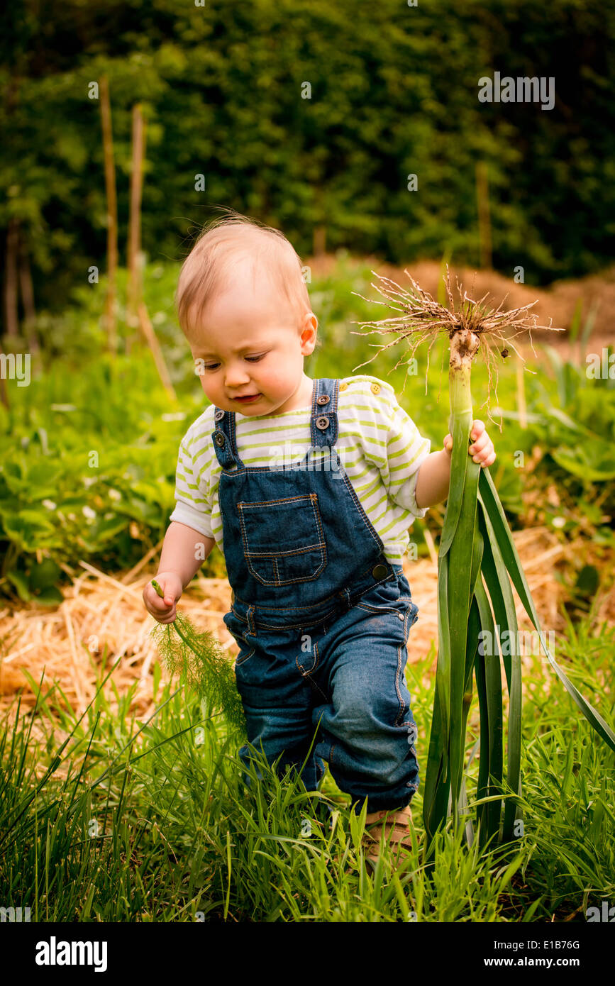 Little child carrying leeks - backyard garden scene Stock Photo - Alamy