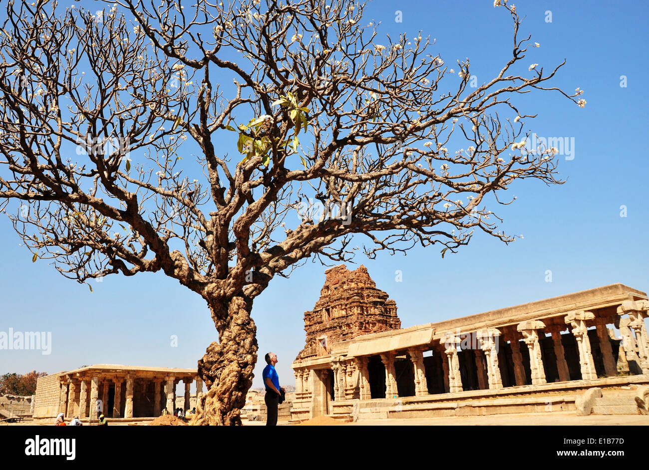 Looking back to the history Stock Photo - Alamy