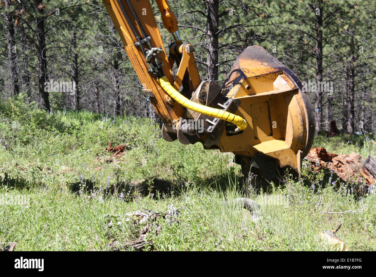 The Swift Creek area in the Bitterroot National Forest benefited from ...