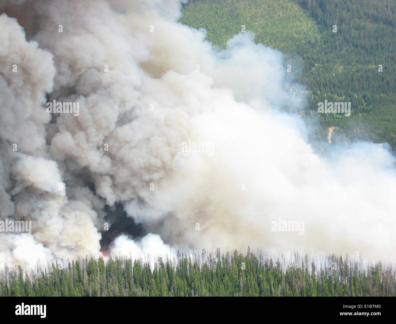 Smokejumpers respond to the Packer Meadows Fire in Lolo National Forest ...
