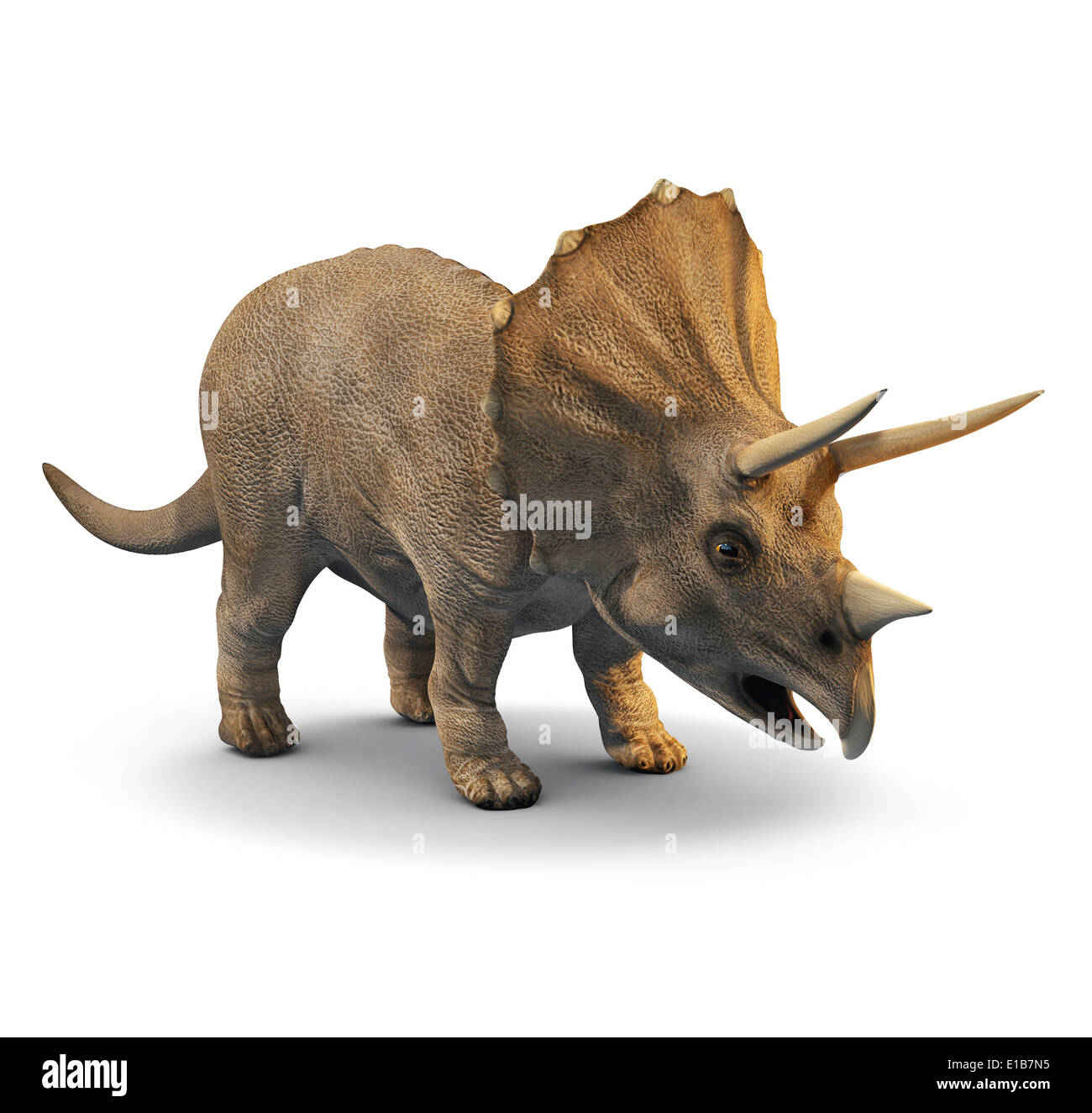Triceratops dinosaur 3d render hi-res stock photography and images - Alamy