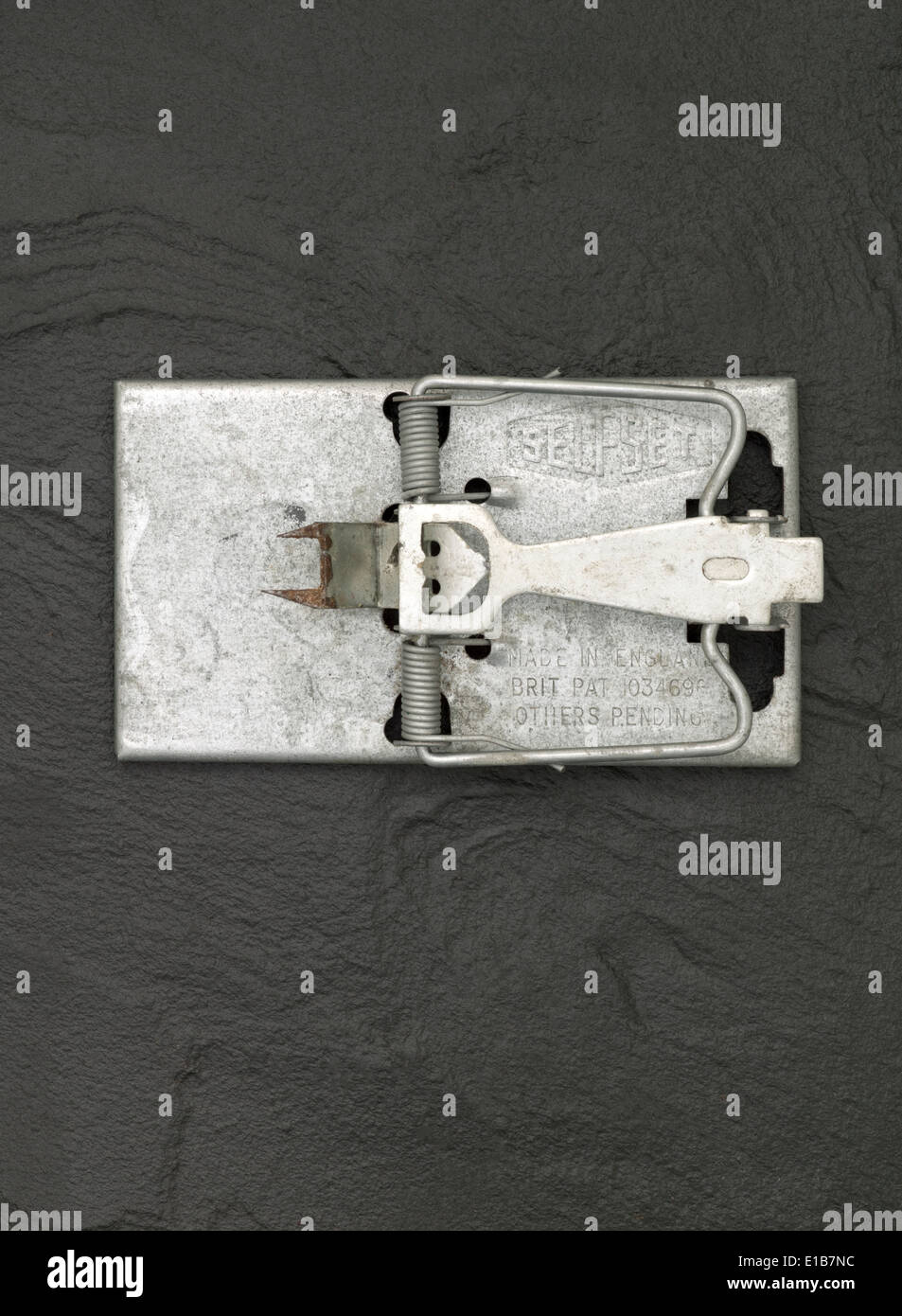 Vintage Mouse Trap Stock Photo - Alamy