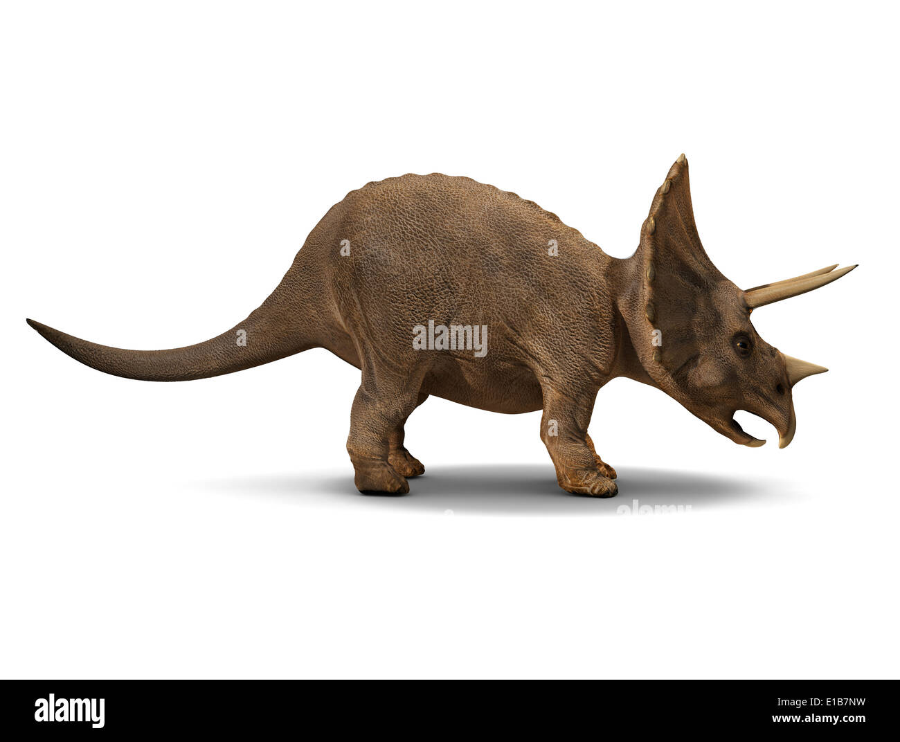 3d Triceratops dinosaur side view Stock Photo - Alamy