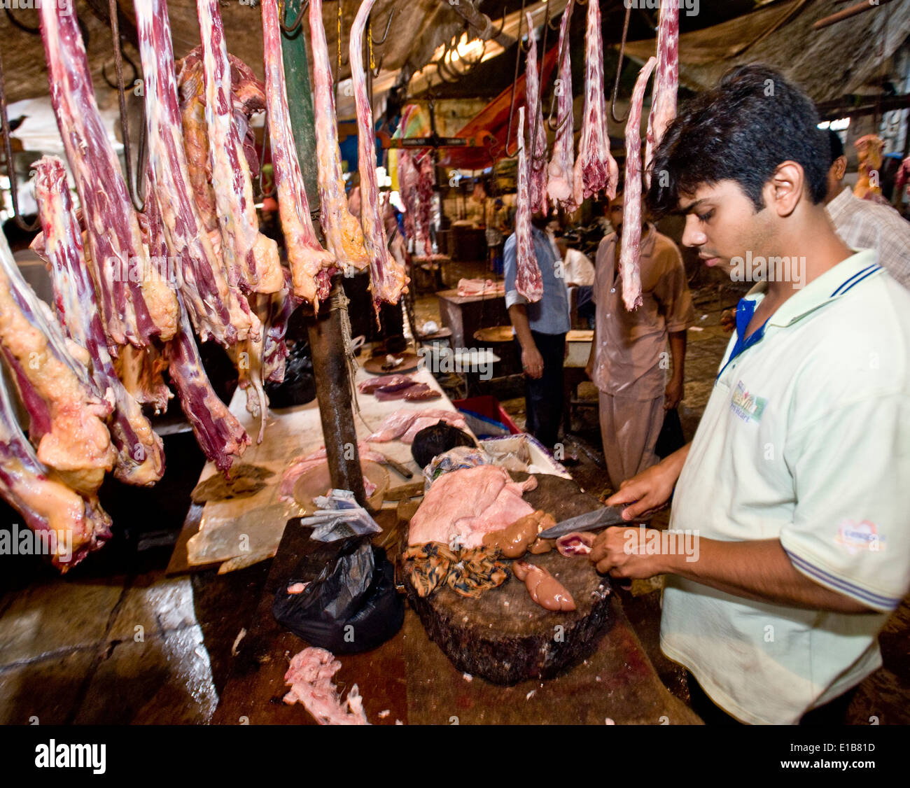 Cow Meat Market