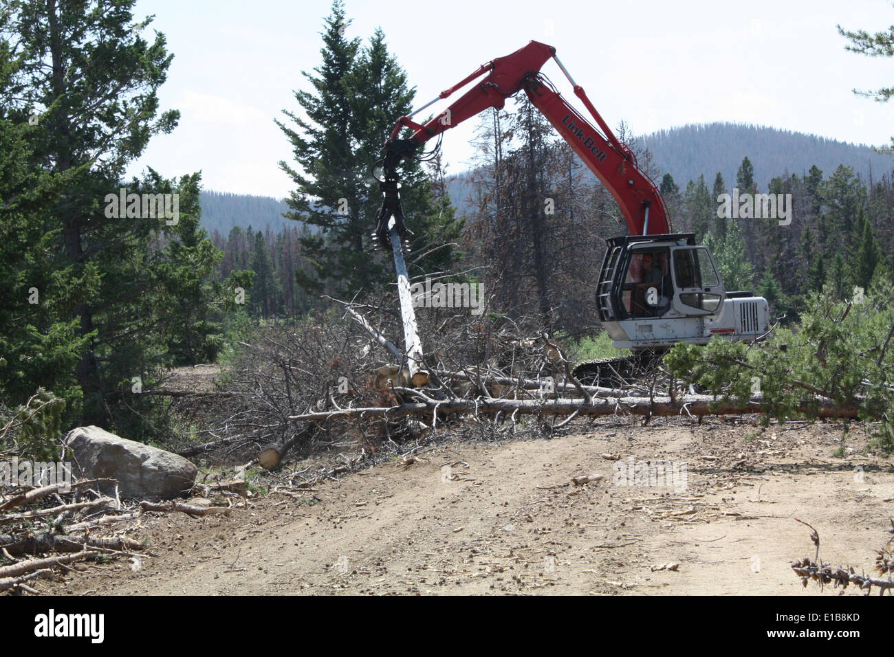 Tree hazard removal hi-res stock photography and images - Alamy