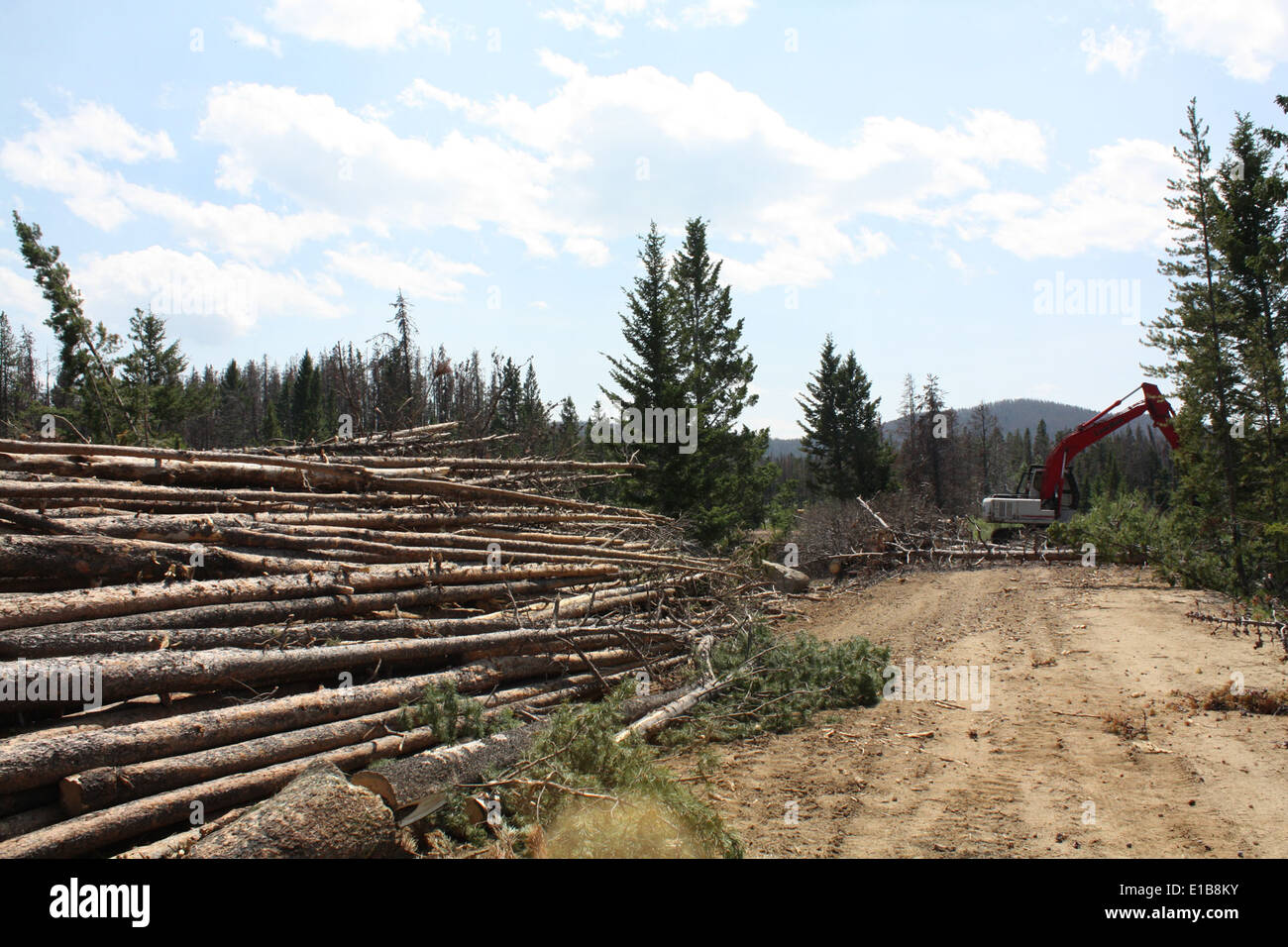 Hazard tree removal at Park Lake in Helena National Forest focuses on ...