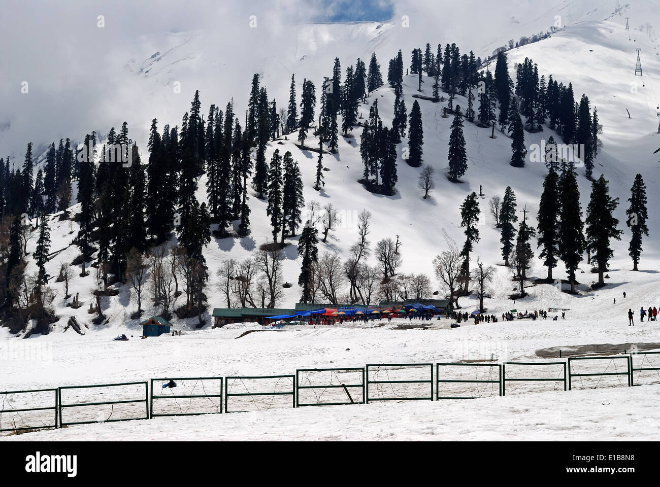 snow landscape from gulmarg,kashmir,india Stock Photo - Alamy